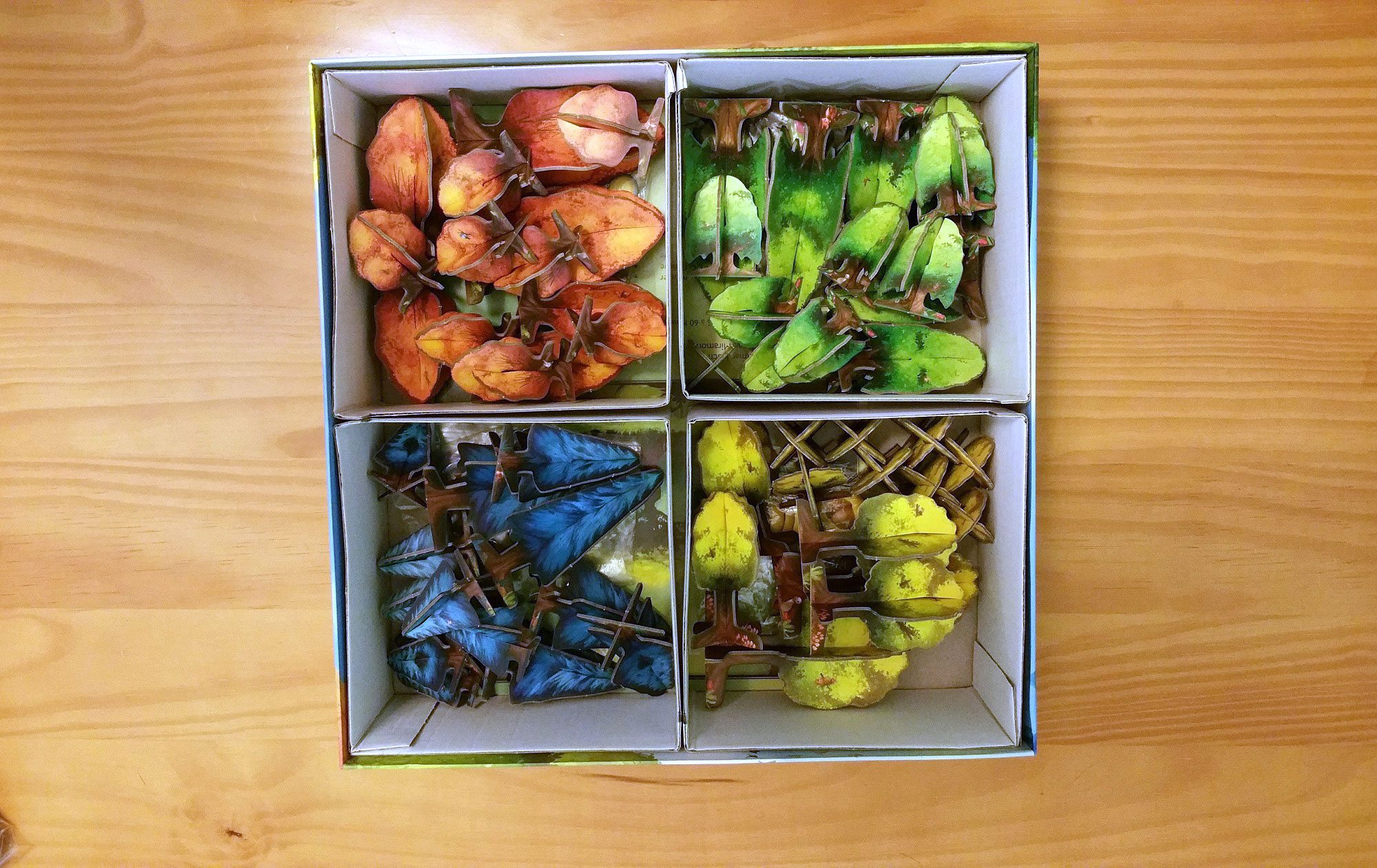 Photosynthesis Game Review – Meeple Mountain
