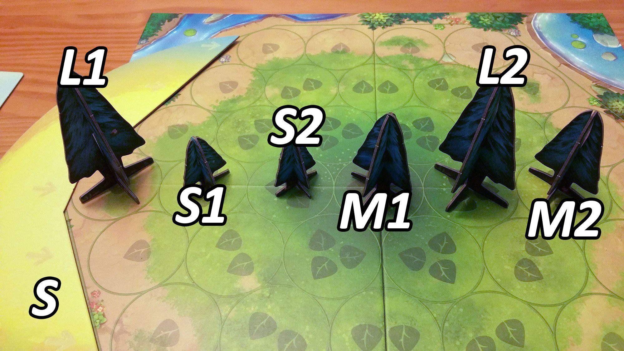 Photosynthesis Game Review – Meeple Mountain