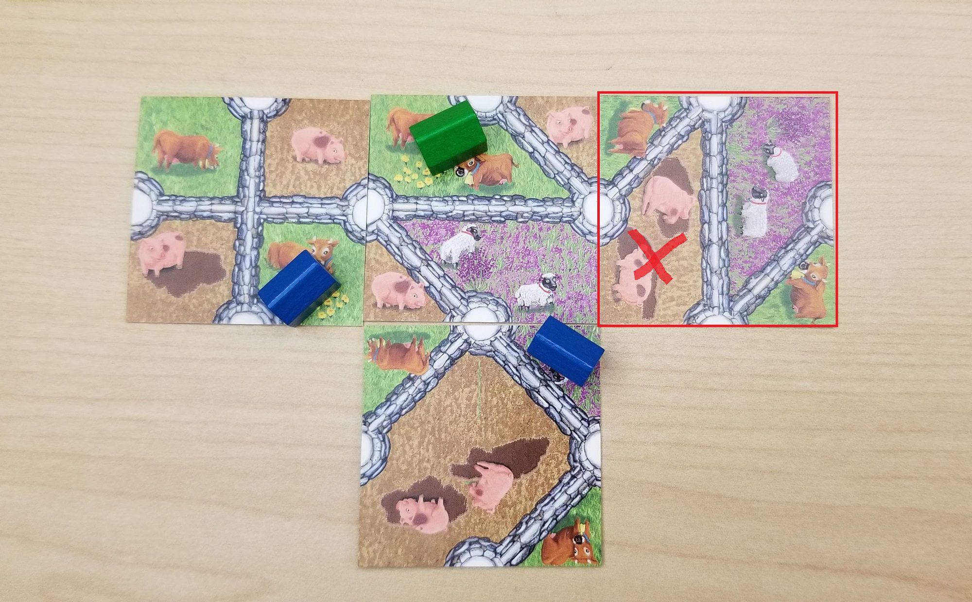 Fences Game Review – Meeple Mountain
