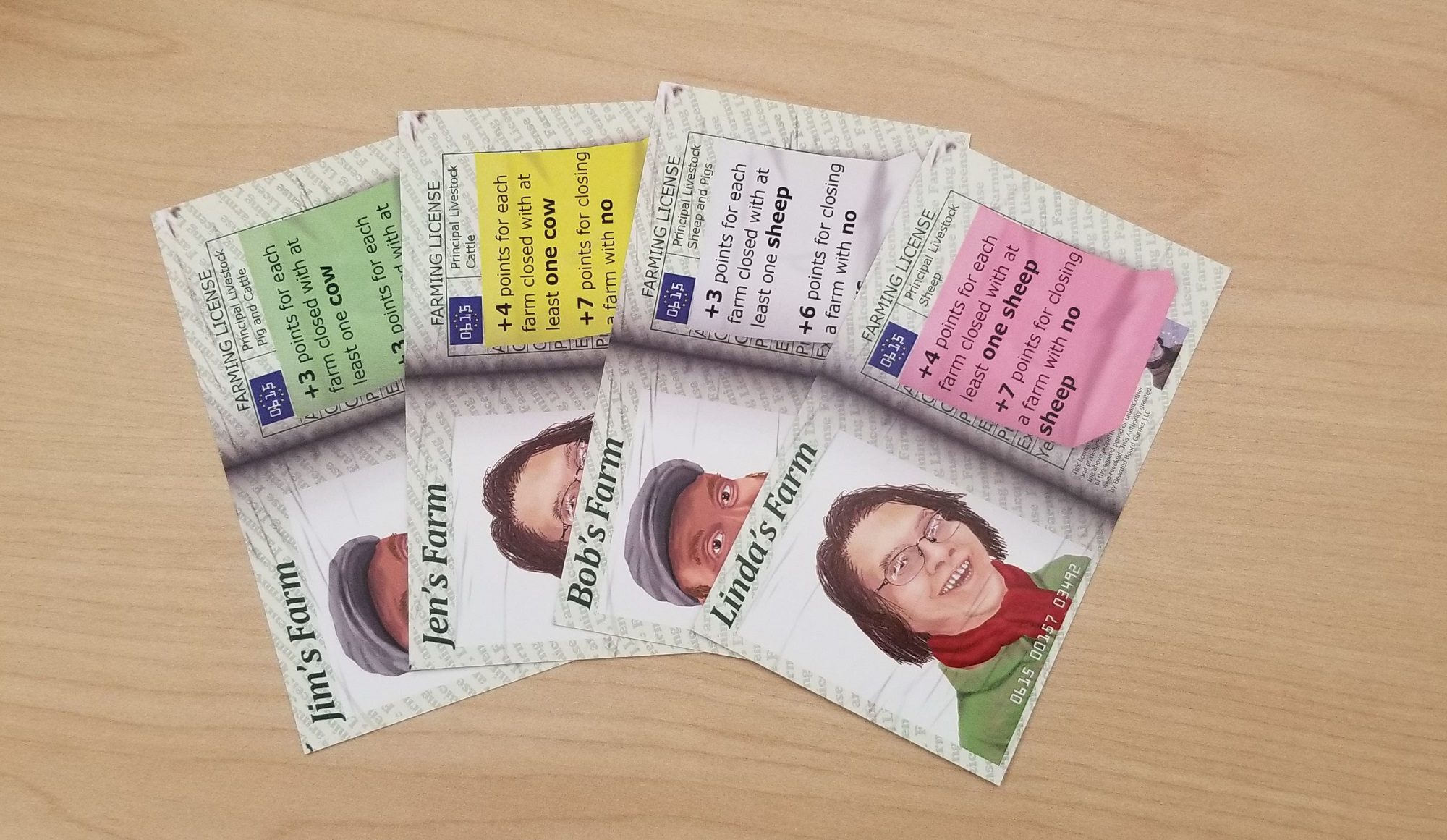 Fences Game Review – Meeple Mountain