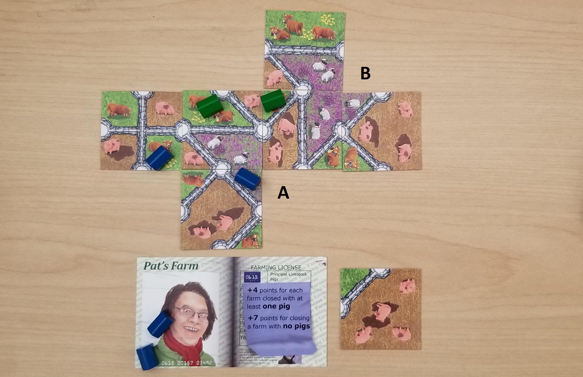 Fences Game Review – Meeple Mountain