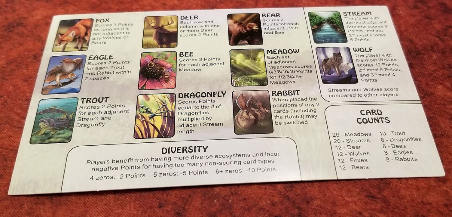 Ecosystem Game Review – Meeple Mountain