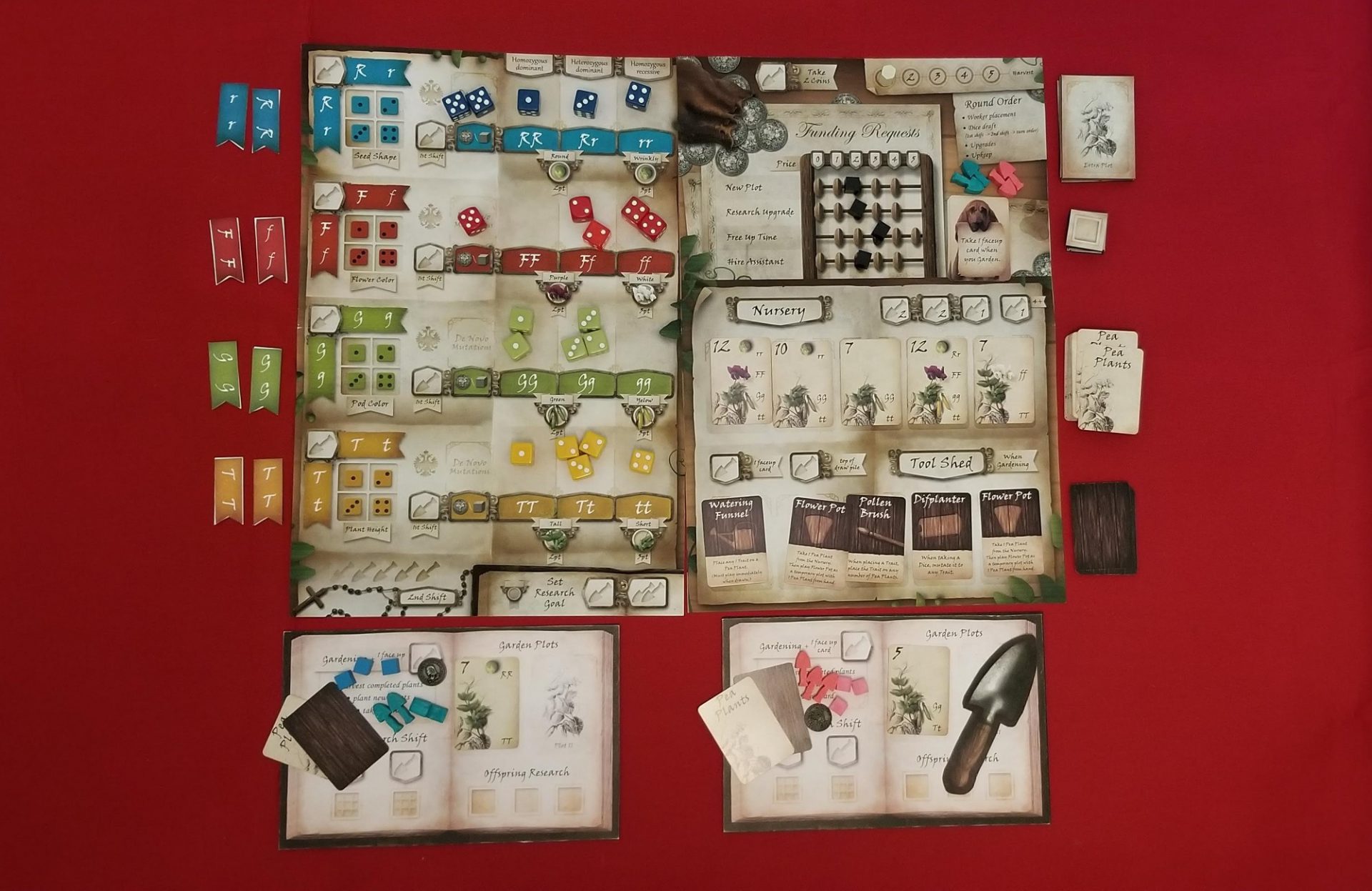 Genotype: A Mendelian Genetics Game Review – Meeple Mountain