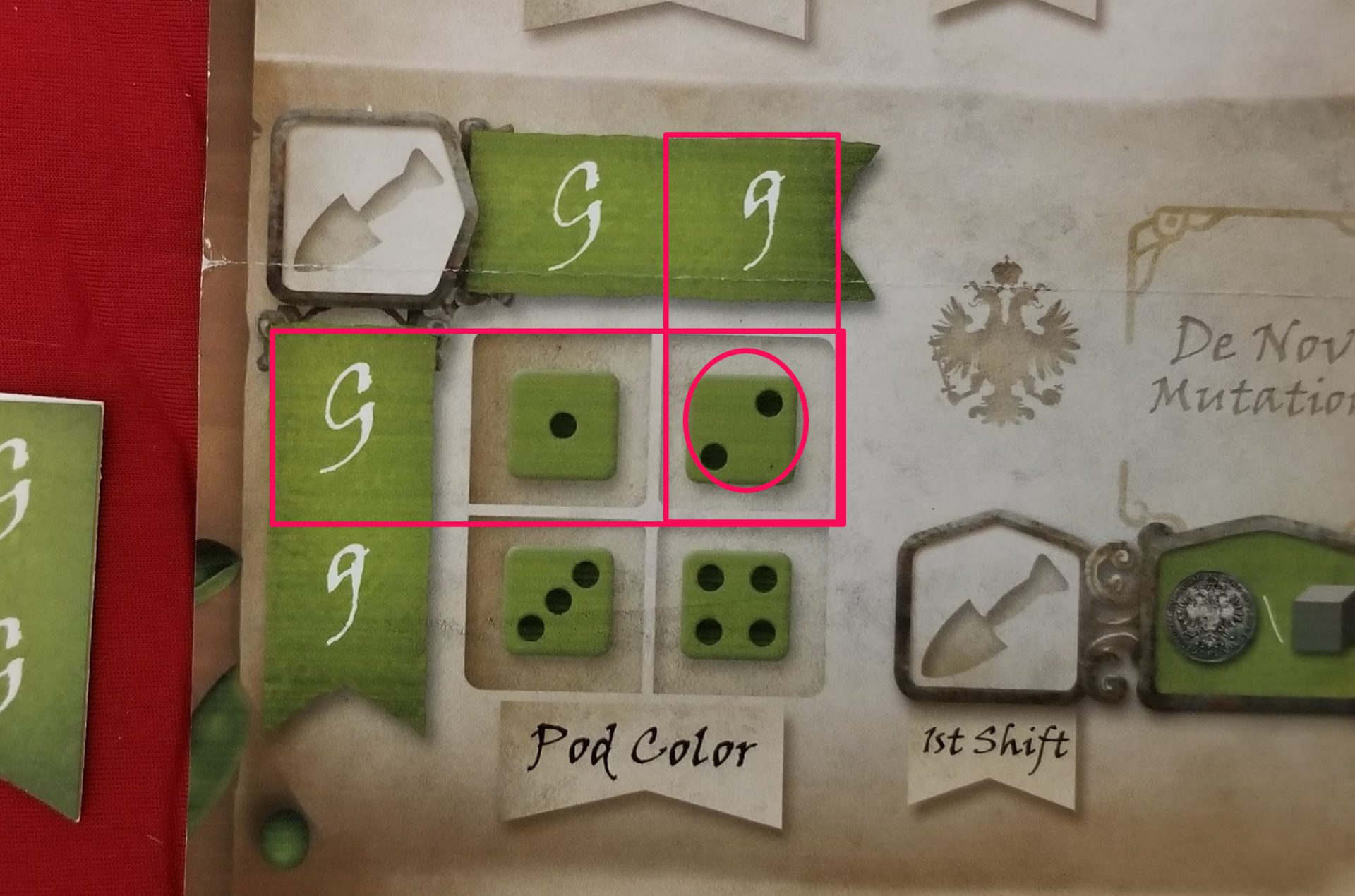 Genotype: A Mendelian Genetics Game Review – Meeple Mountain