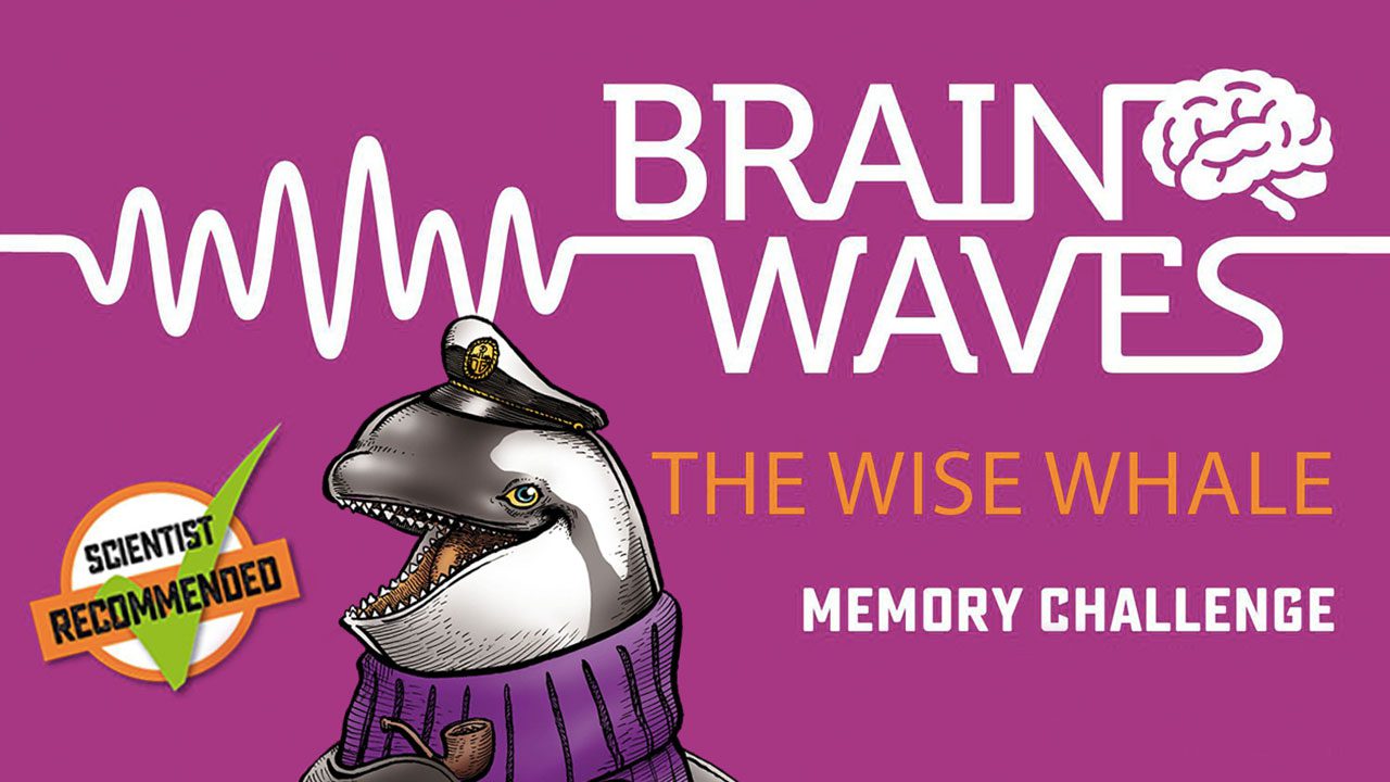 Brainwaves: The Wise Whale Game Review – Meeple Mountain