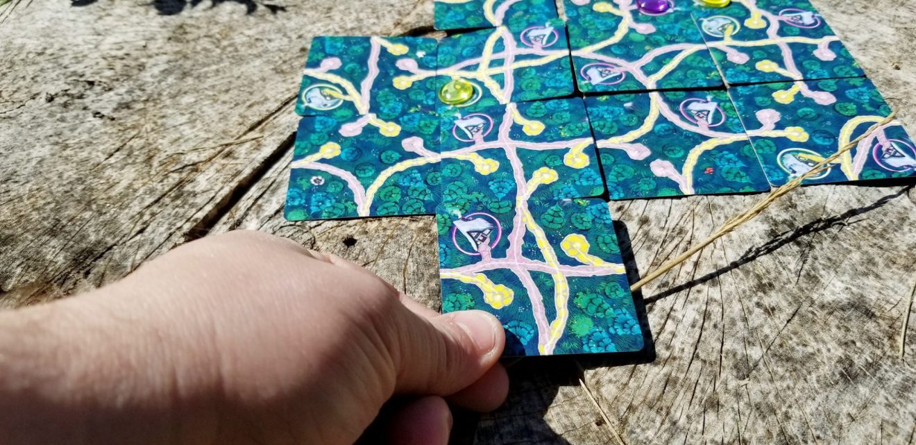 Ave Uwe: Fairy Trails Game Review – Meeple Mountain