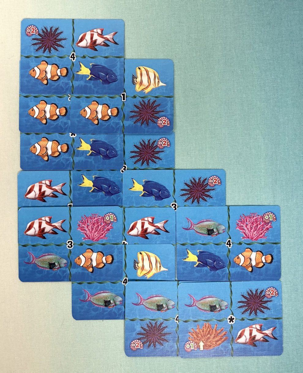 The Great Barrier Reef Card Game Review – Meeple Mountain
