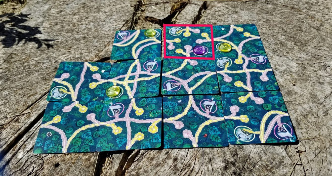 Ave Uwe: Fairy Trails Game Review – Meeple Mountain