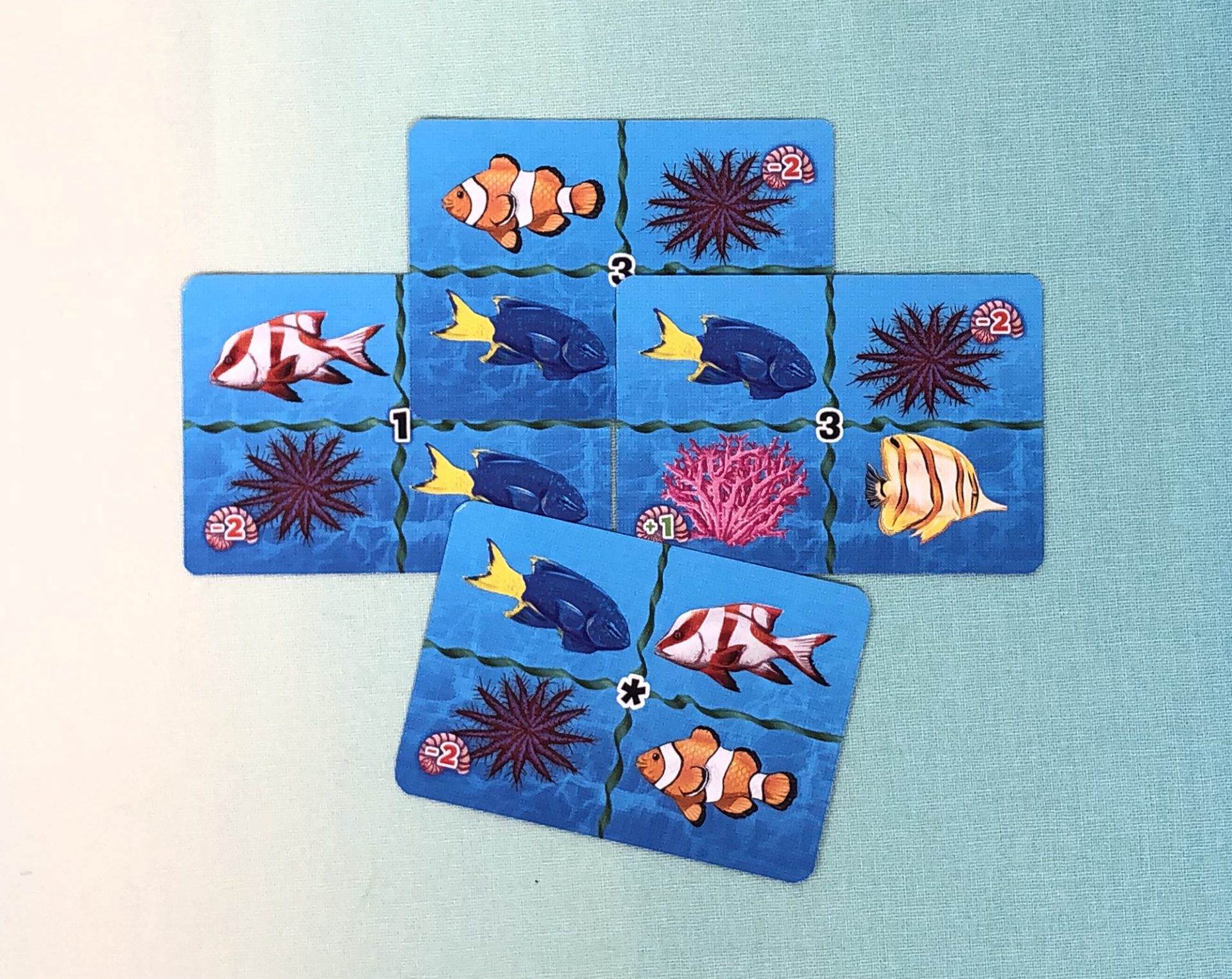 The Great Barrier Reef Card Game Review – Meeple Mountain