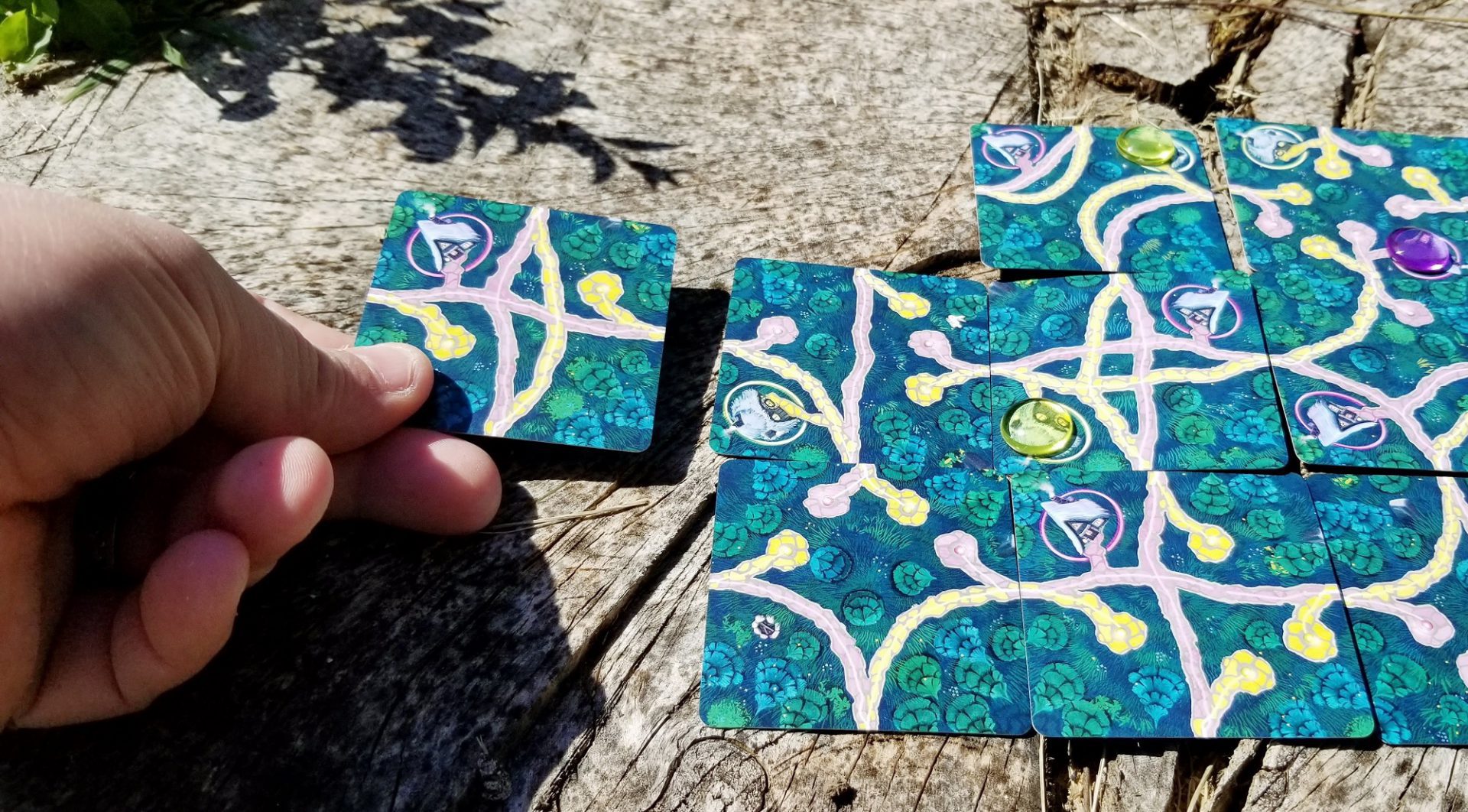 Ave Uwe: Fairy Trails Game Review – Meeple Mountain