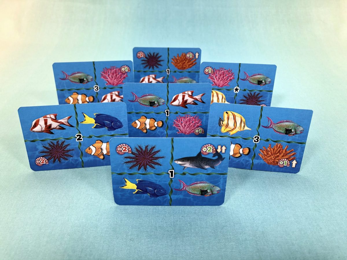 The Great Barrier Reef Card Game Review – Meeple Mountain