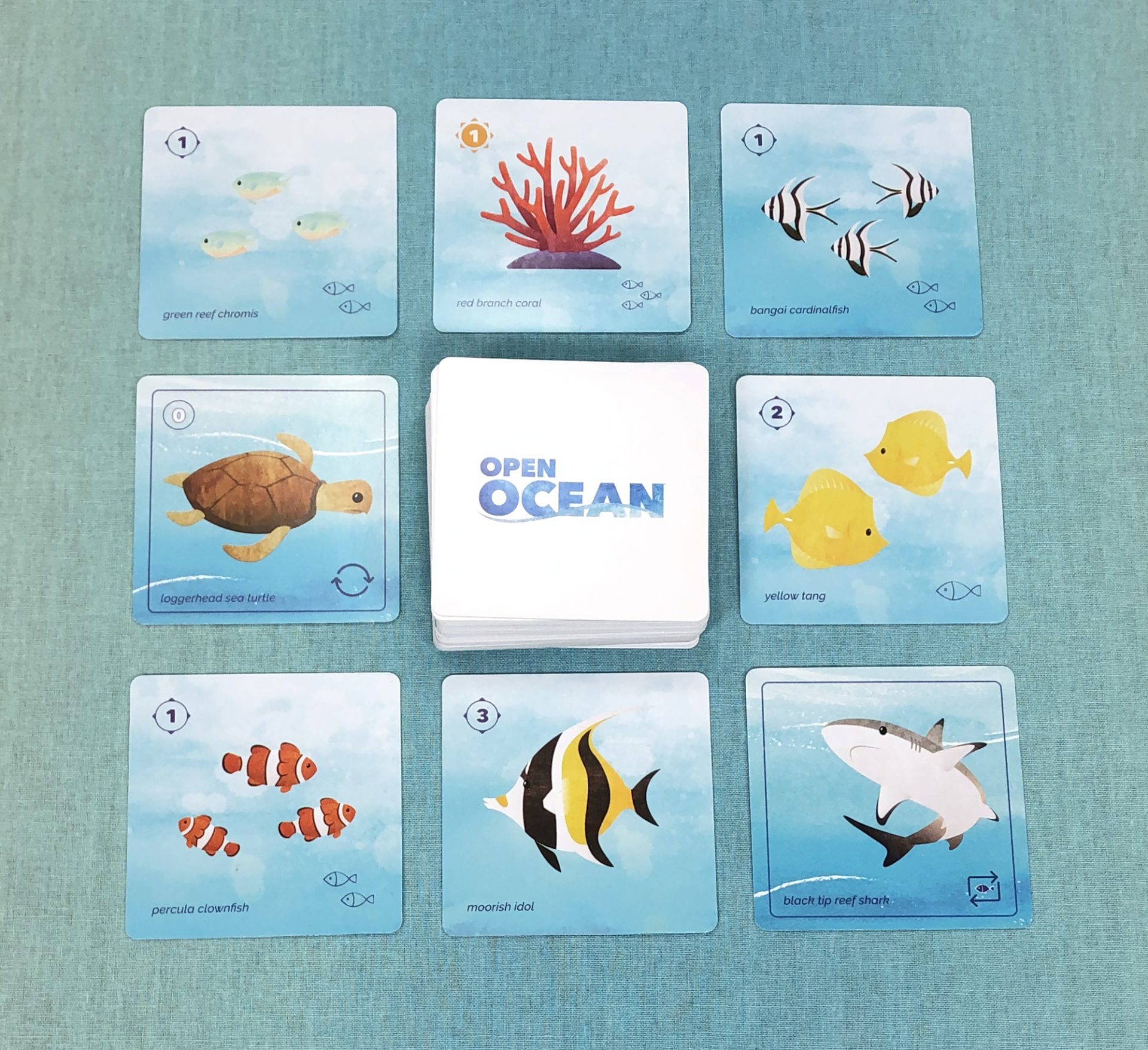 Open Ocean Game Review – Meeple Mountain
