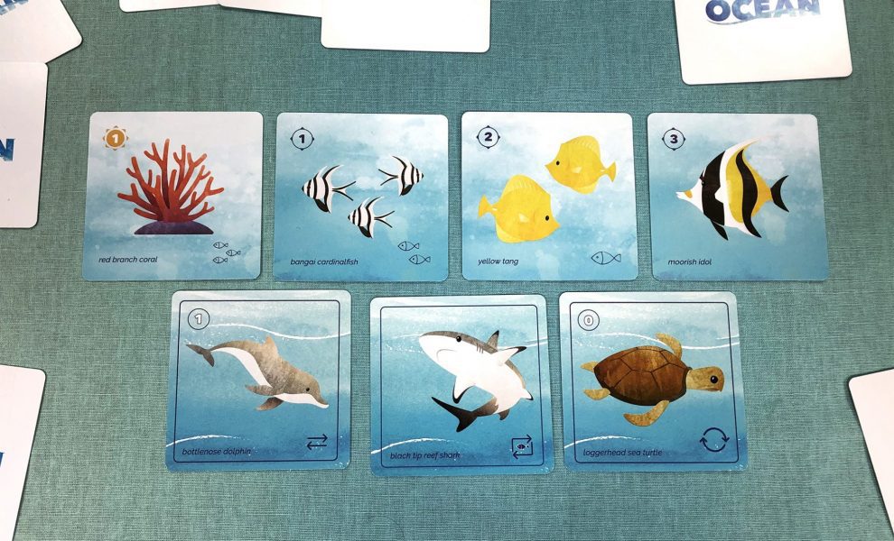 Open Ocean Game Review – Meeple Mountain