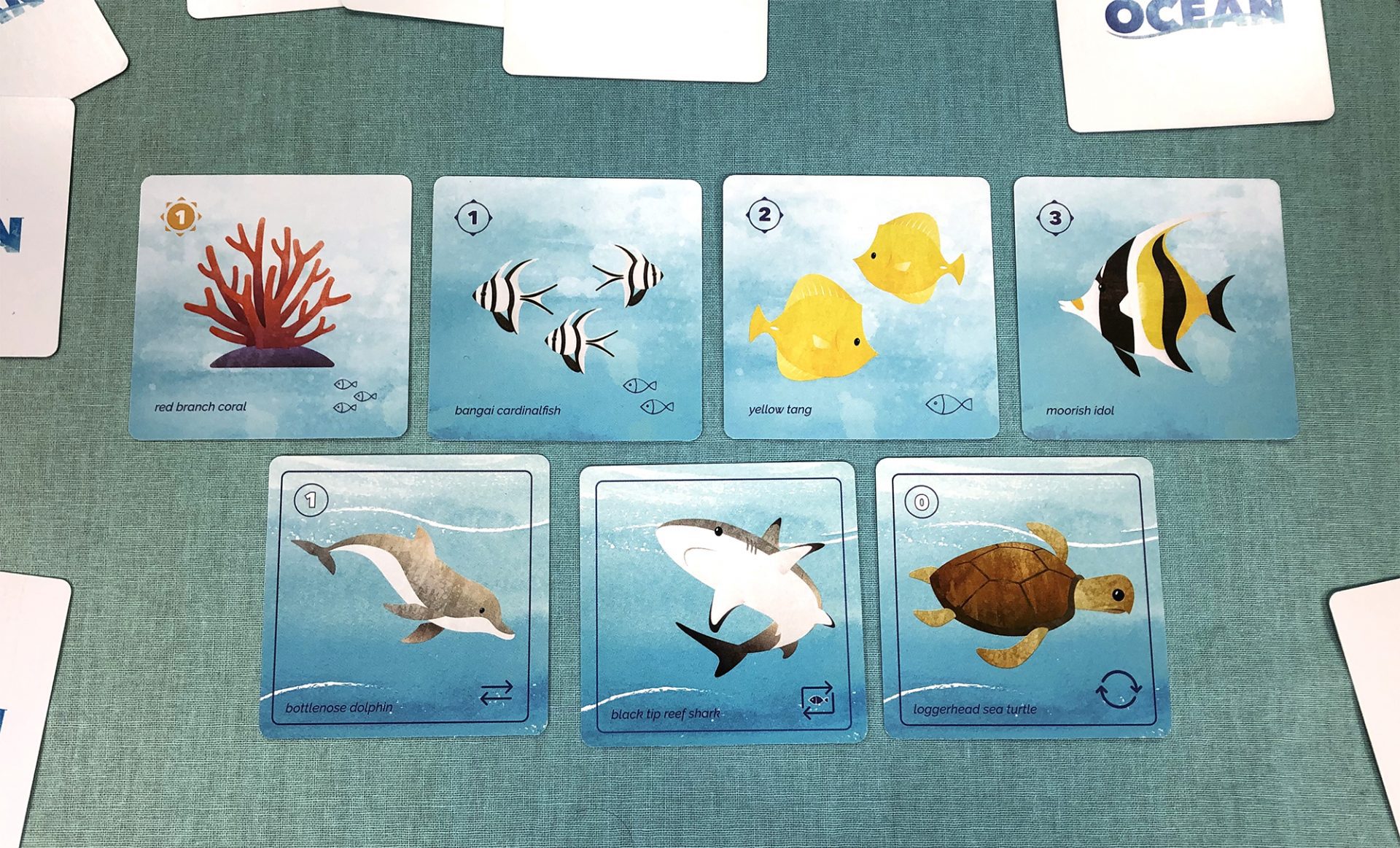 Open Ocean Game Review – Meeple Mountain