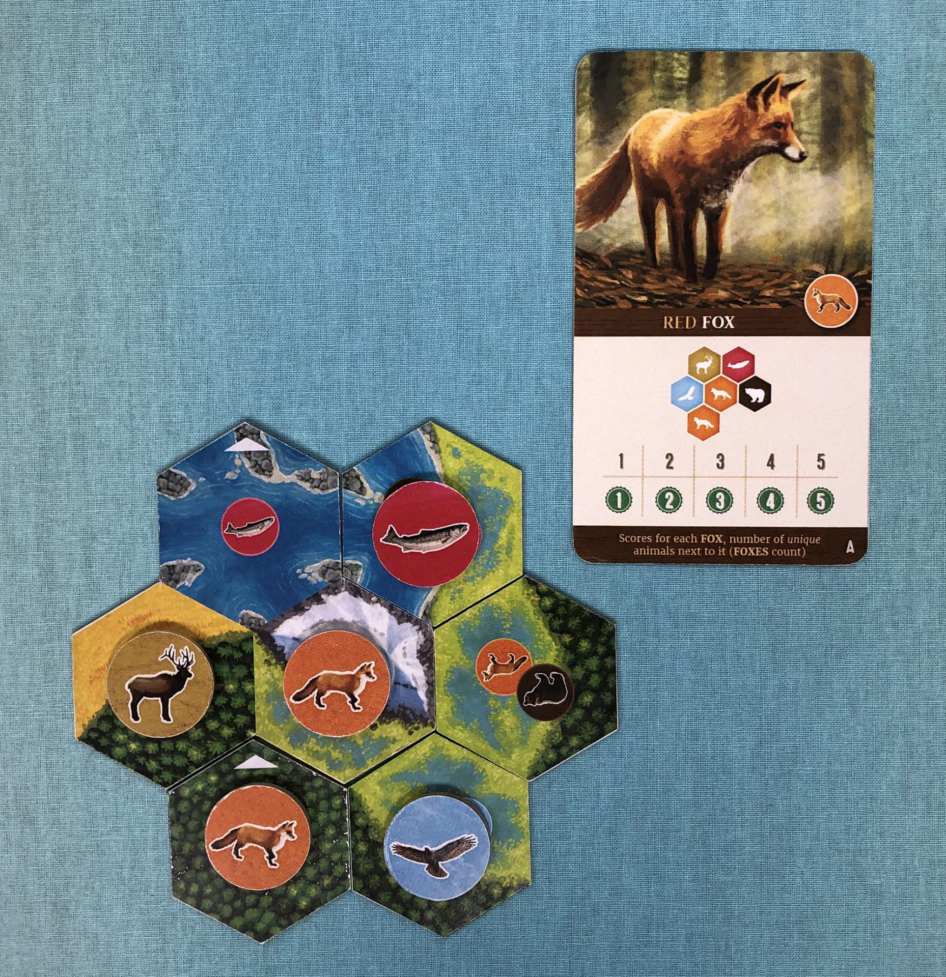Cascadia Game Review – Meeple Mountain