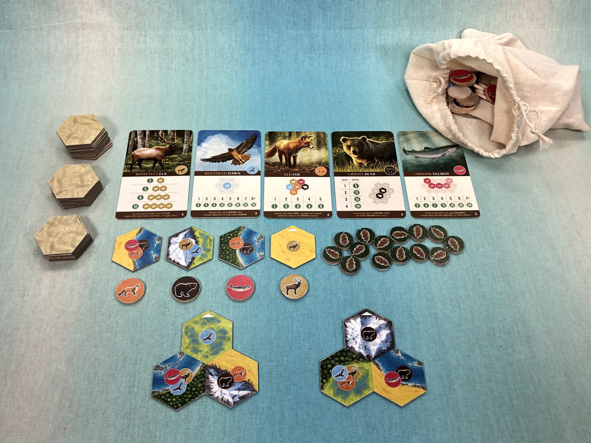 Cascadia Game Review – Meeple Mountain