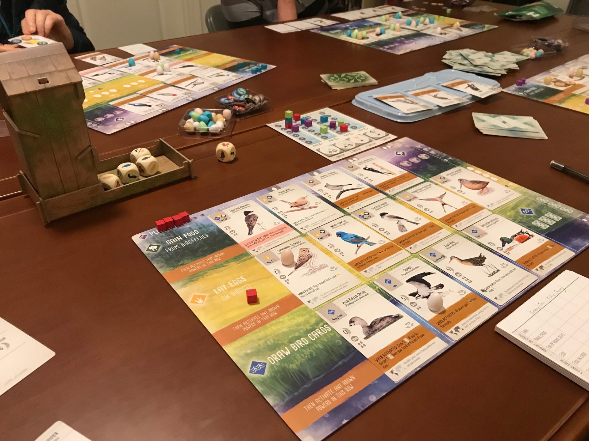 Board Games as Science Communication – Meeple Mountain