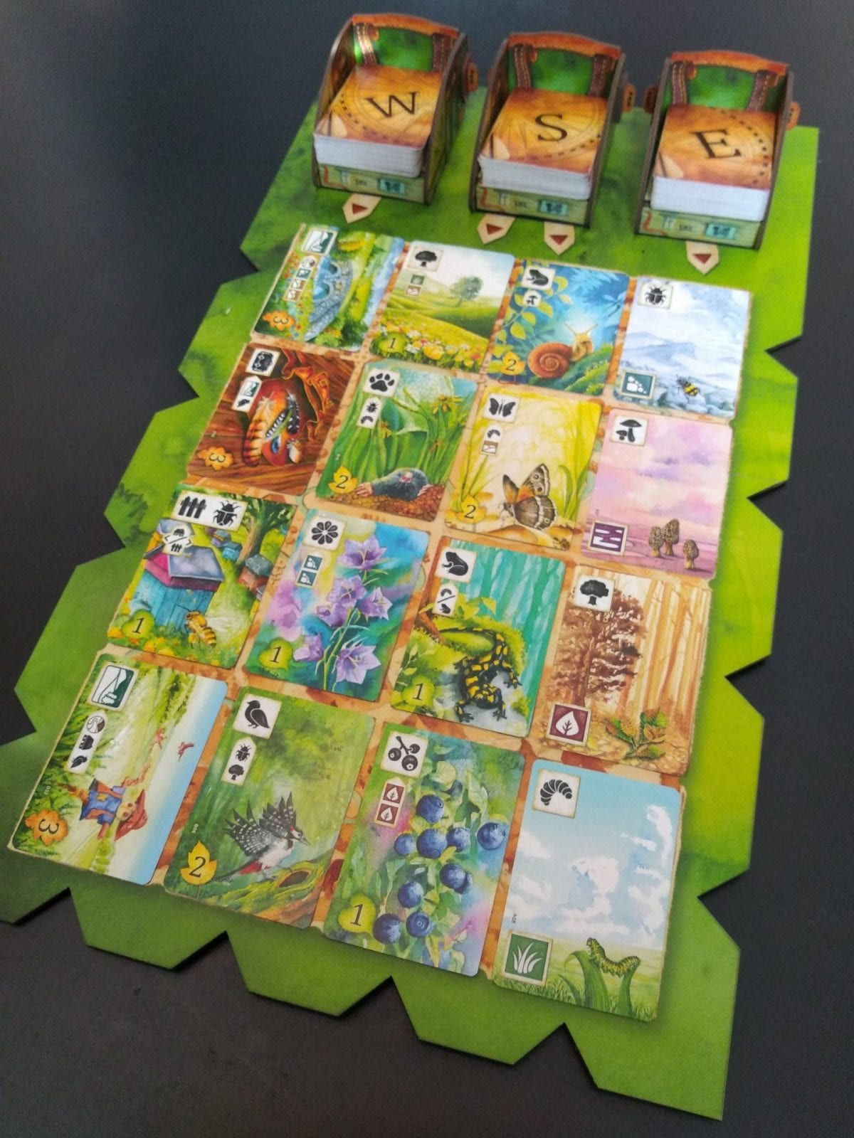 Meadow Game Review – Meeple Mountain
