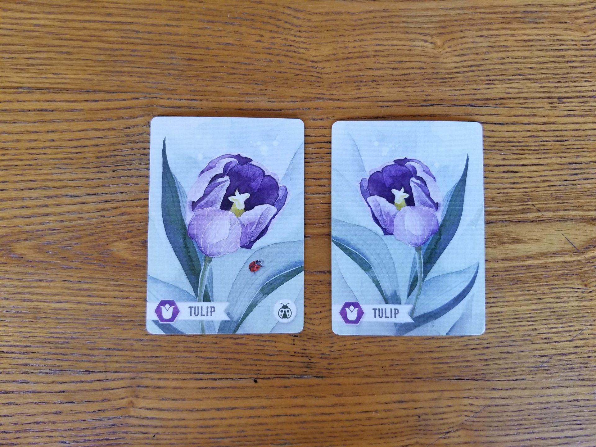 Floriferous Game Review – Meeple Mountain