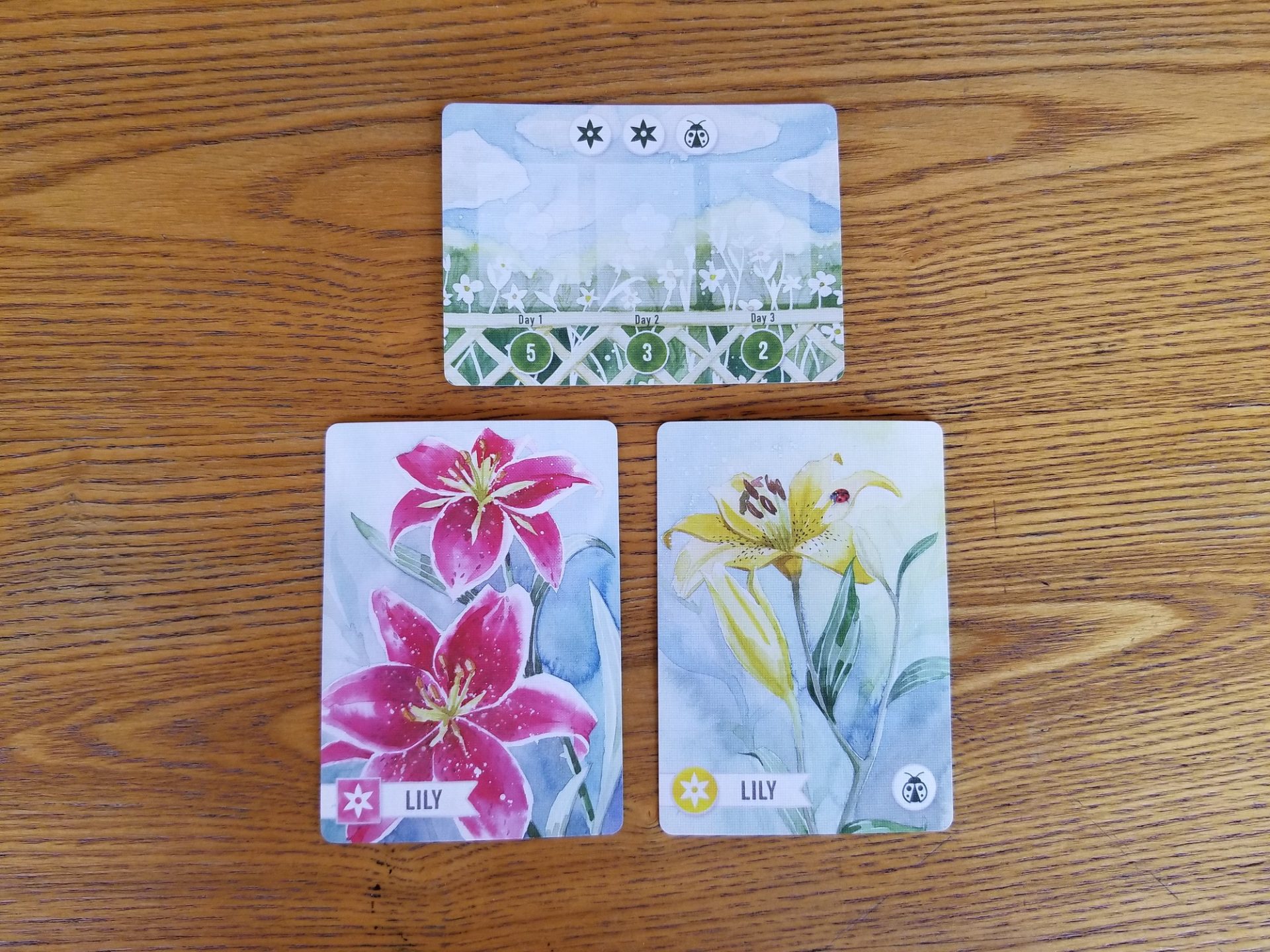 Floriferous Game Review – Meeple Mountain