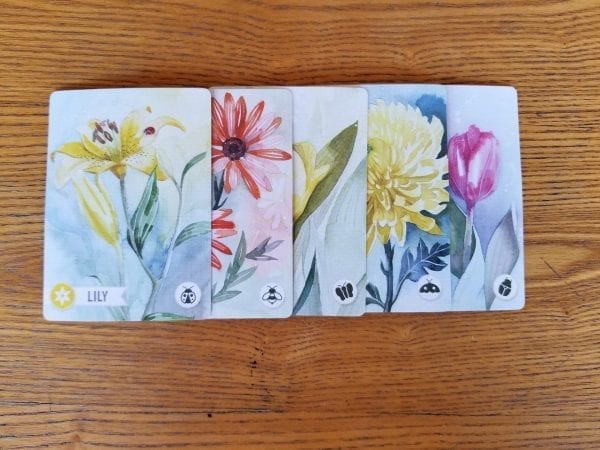 Floriferous Game Review – Meeple Mountain