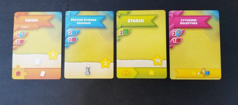 Cellulose: A Plant Cell Biology Game Review – Meeple Mountain