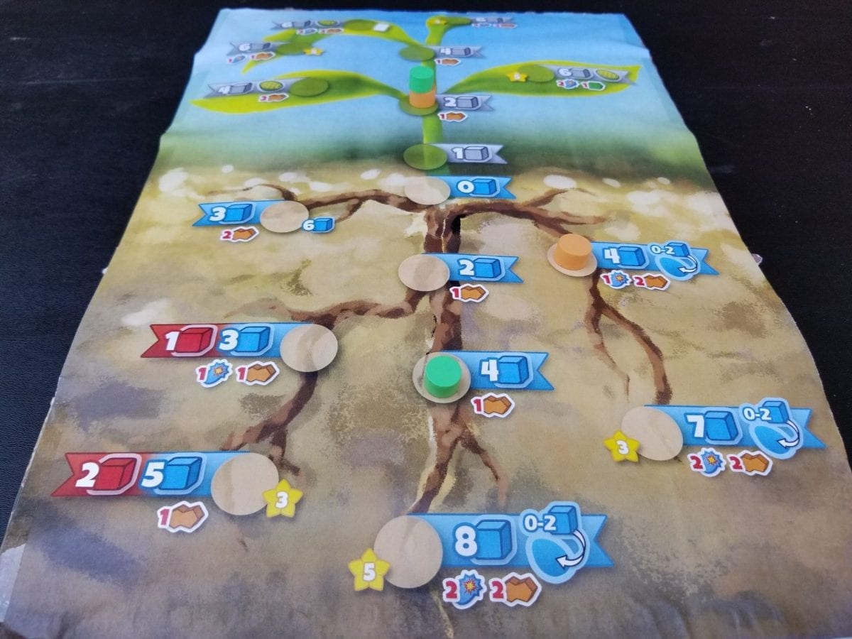 Cellulose: A Plant Cell Biology Game Review – Meeple Mountain
