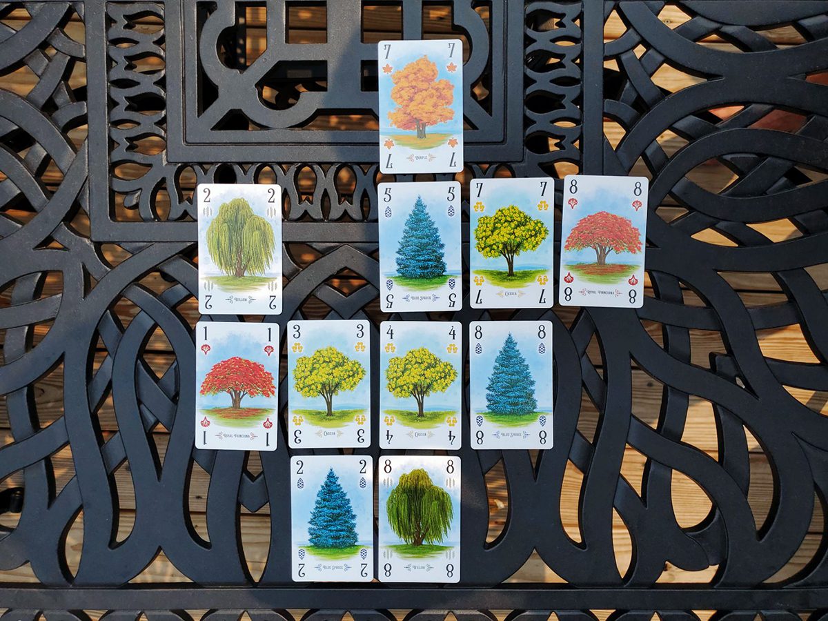 Arboretum Game Review – Meeple Mountain