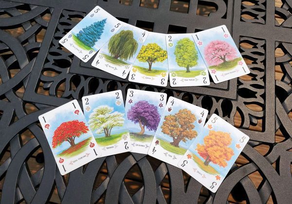Arboretum Game Review – Meeple Mountain