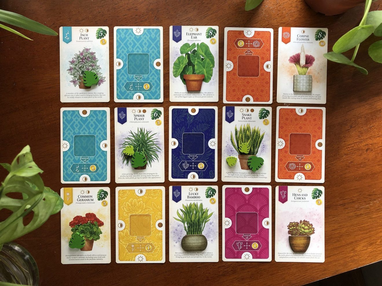 Verdant Game Review – Meeple Mountain