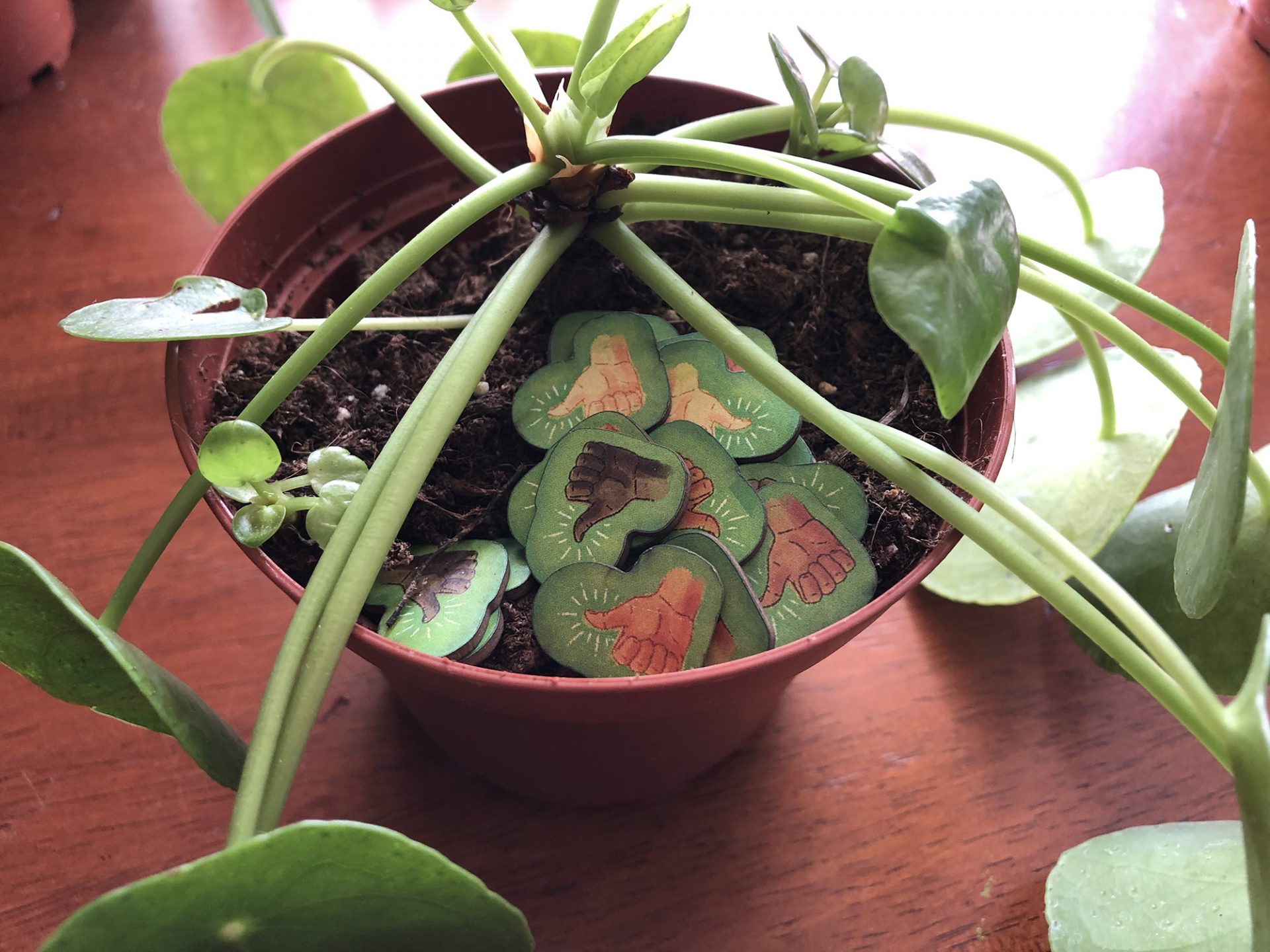 Verdant Game Review – Meeple Mountain