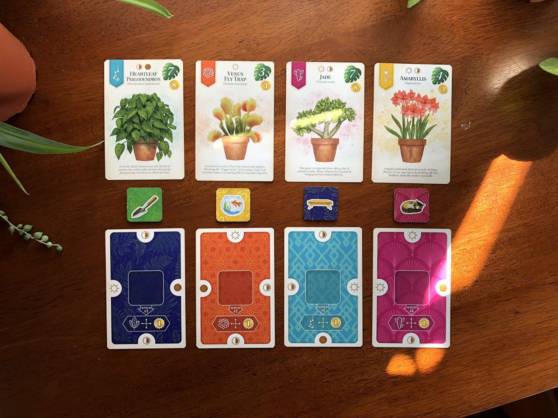 Verdant Game Review – Meeple Mountain