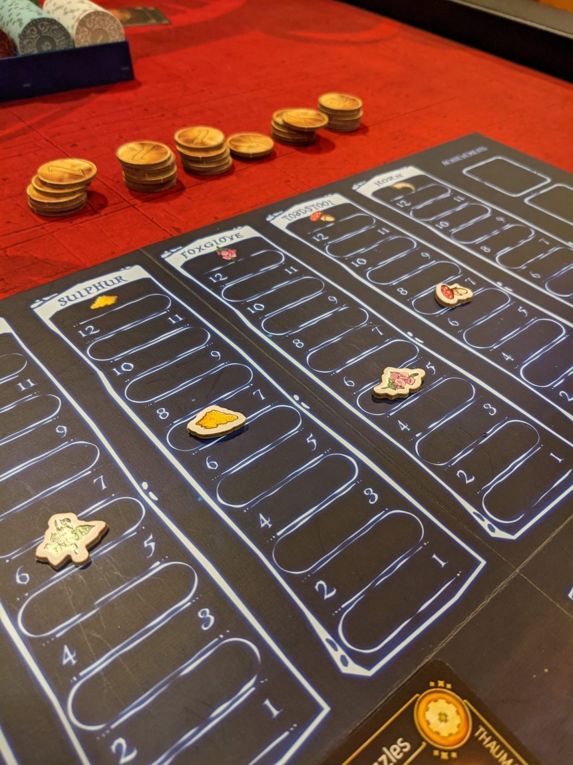 Lizard Wizard Game Review – Meeple Mountain