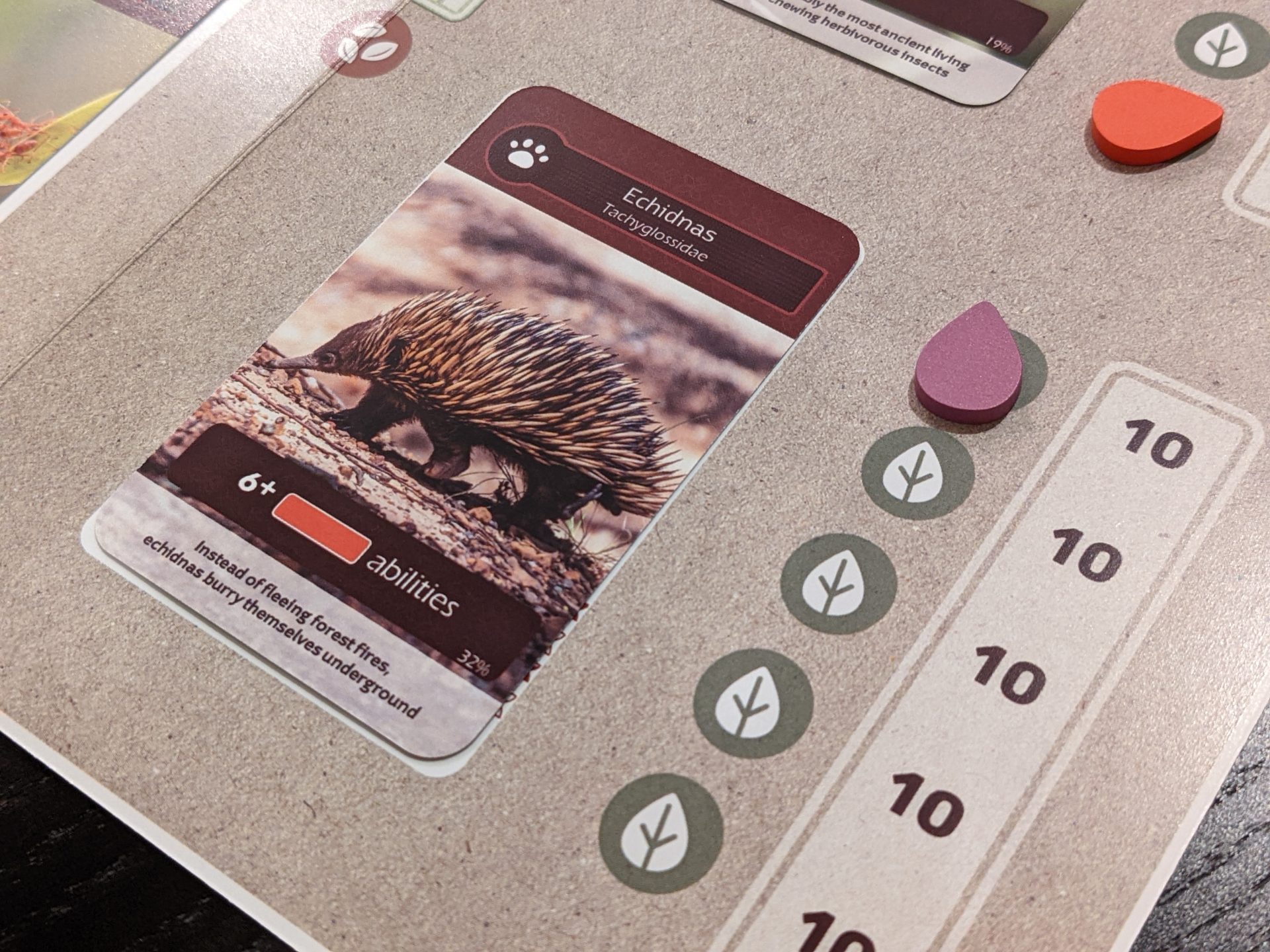 Earth Game Review – Meeple Mountain