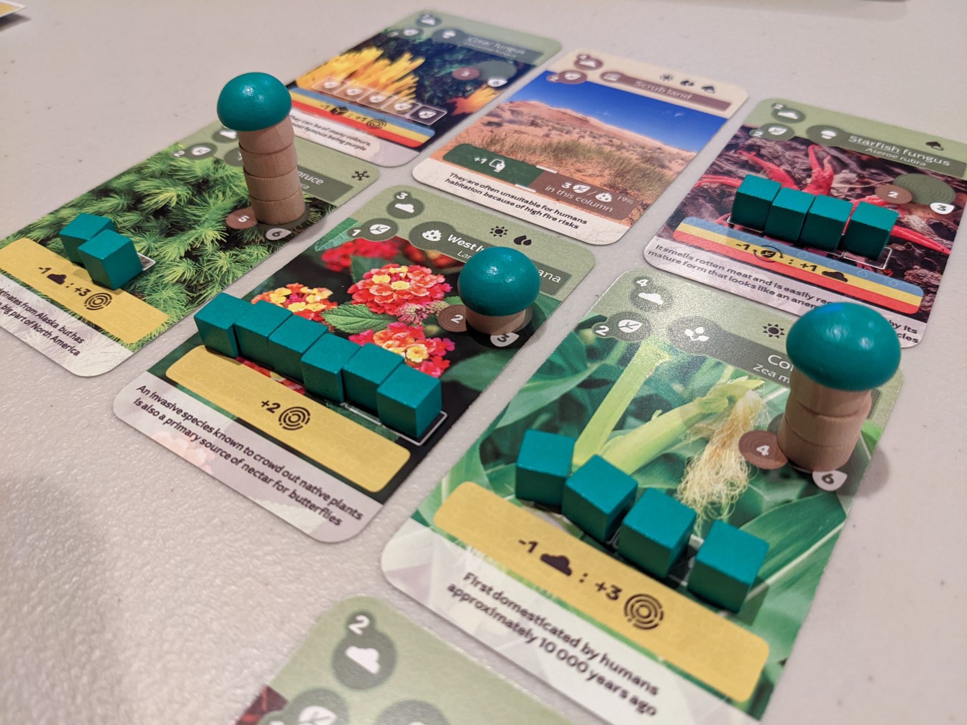 Earth Game Review – Meeple Mountain