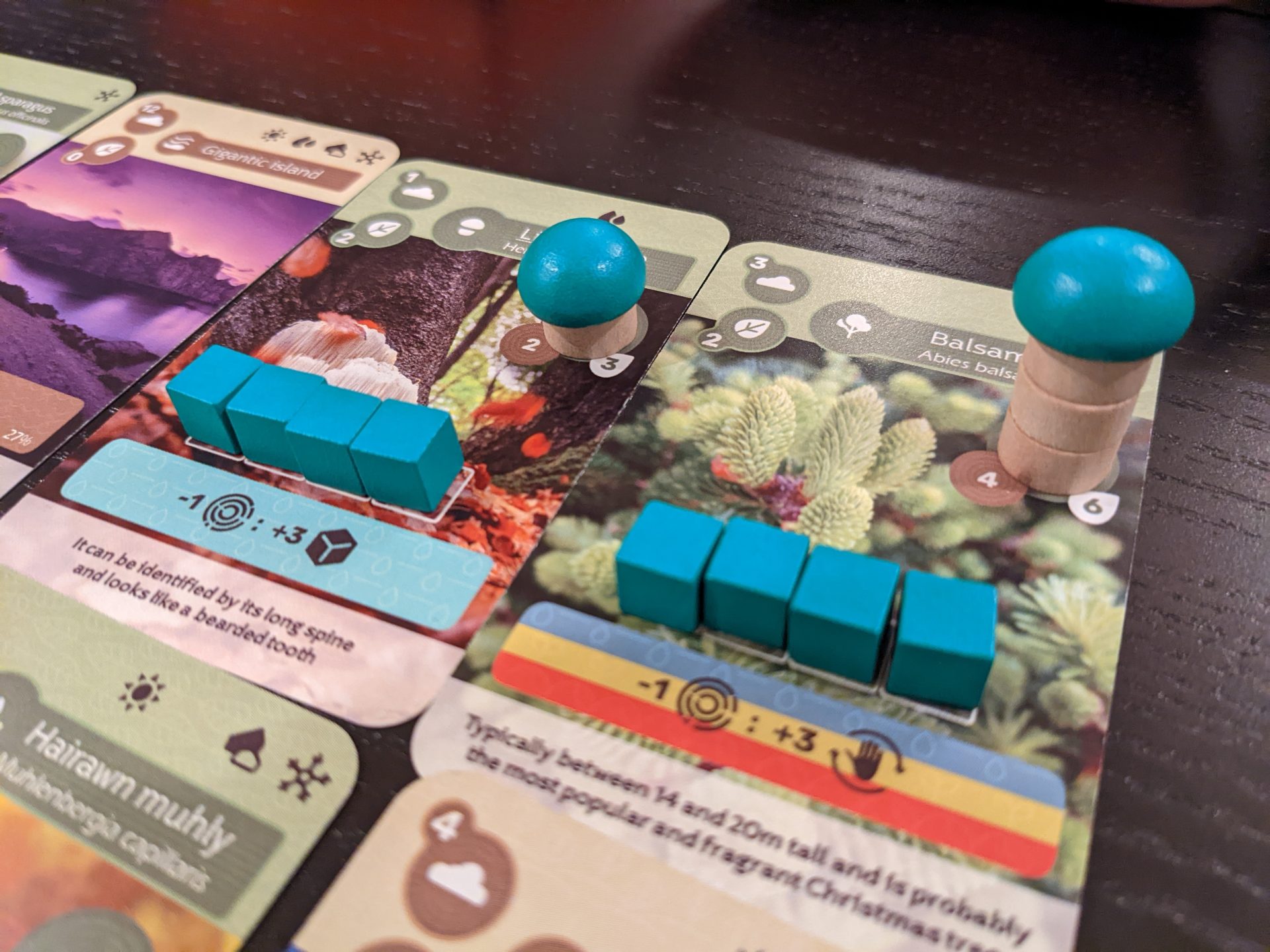 Earth Game Review – Meeple Mountain