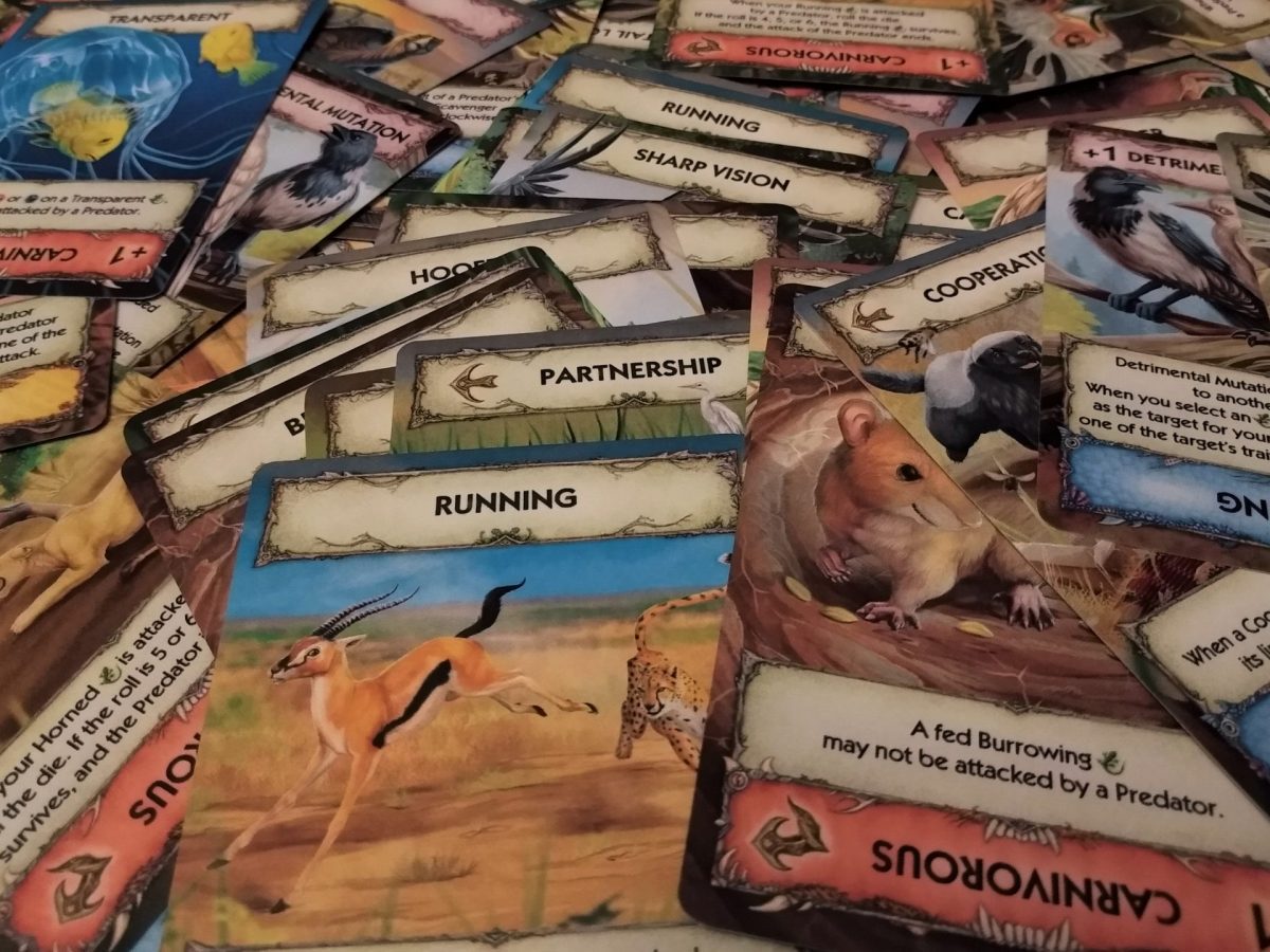 Evolution: New World Game Review – Meeple Mountain