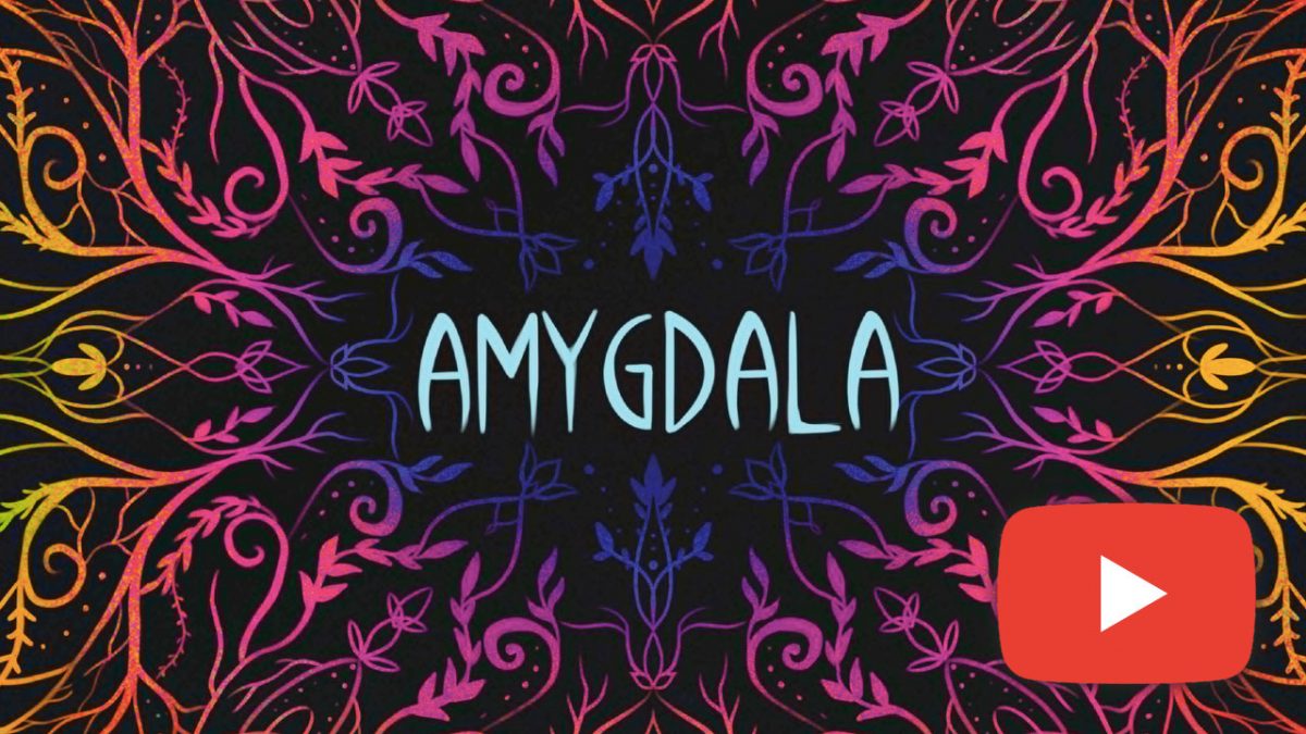 Amygdala Game Video Review – Meeple Mountain
