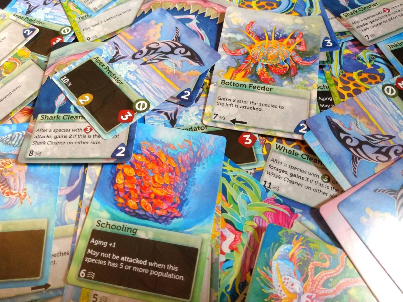 Oceans Game Review – Meeple Mountain