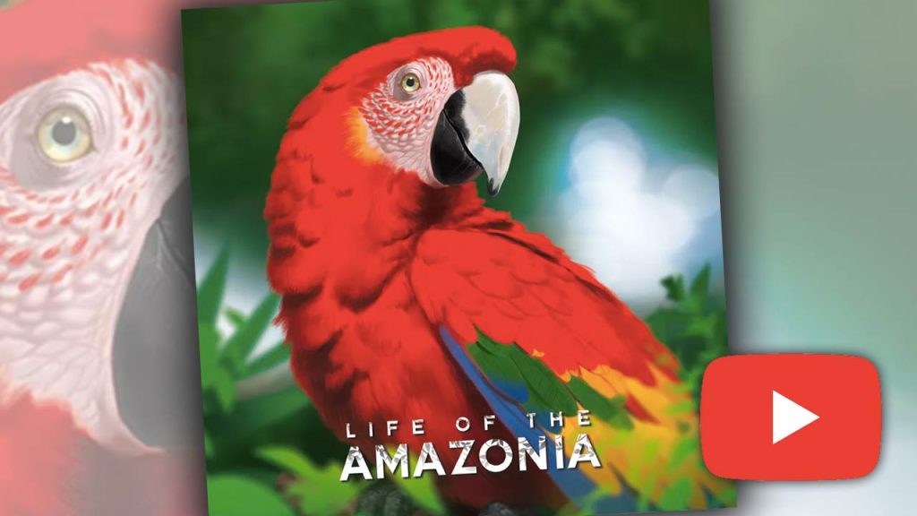 Life of the Amazonia Game Video Review – Meeple Mountain