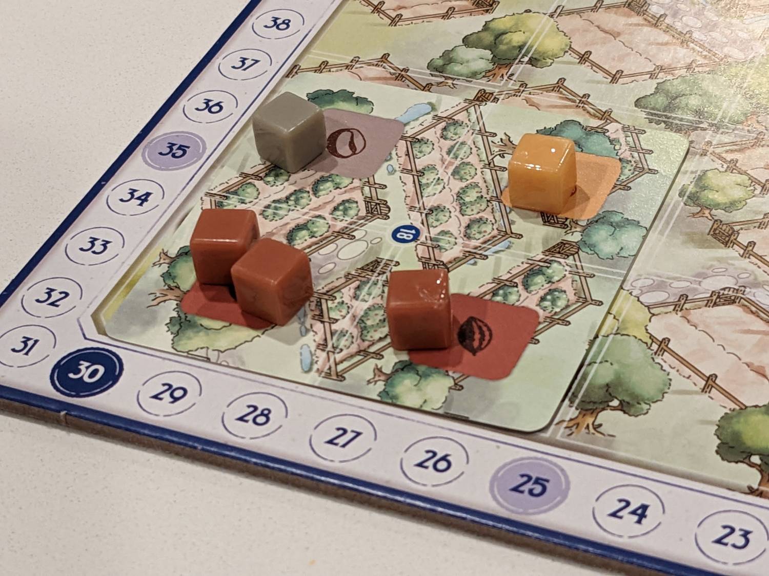 Dulce Game Review – Meeple Mountain