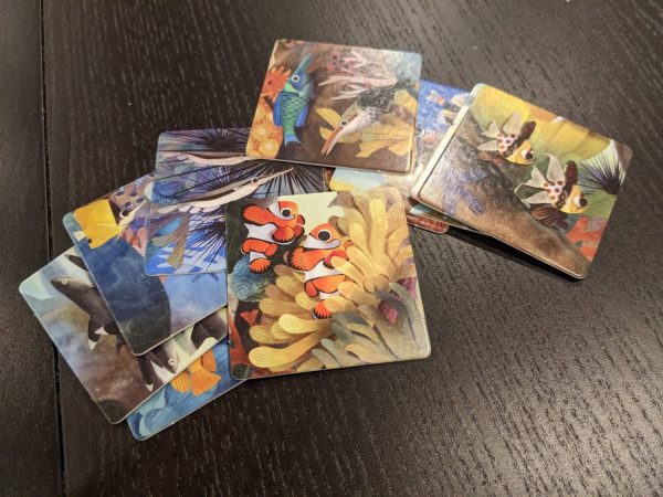 Reef Rescue Game Review – Meeple Mountain