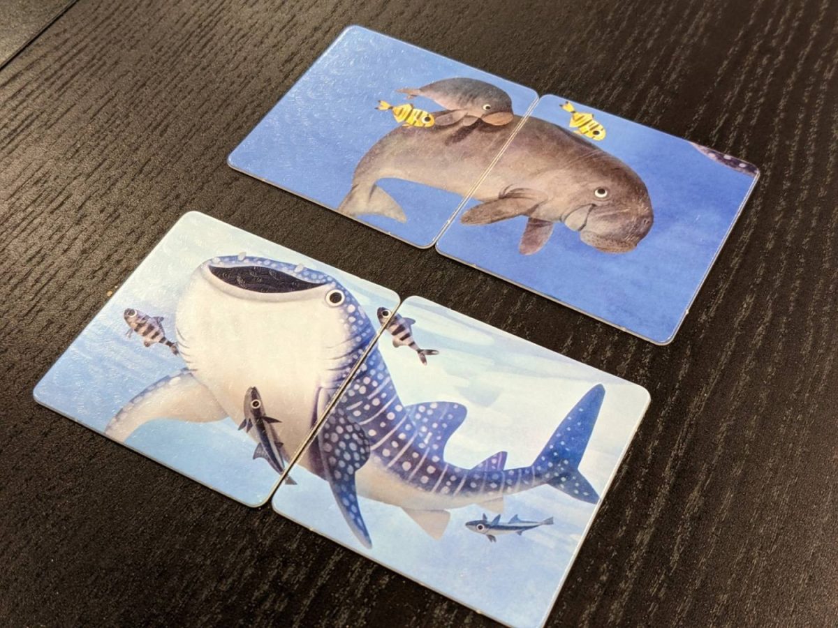 Reef Rescue Game Review – Meeple Mountain