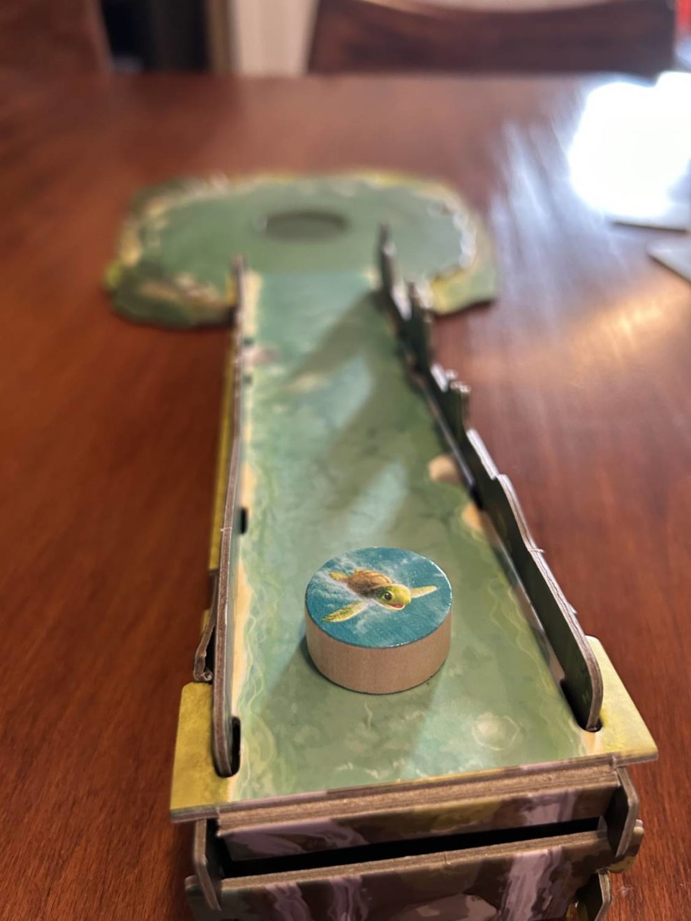 Turtle Splash! Game Review – Meeple Mountain