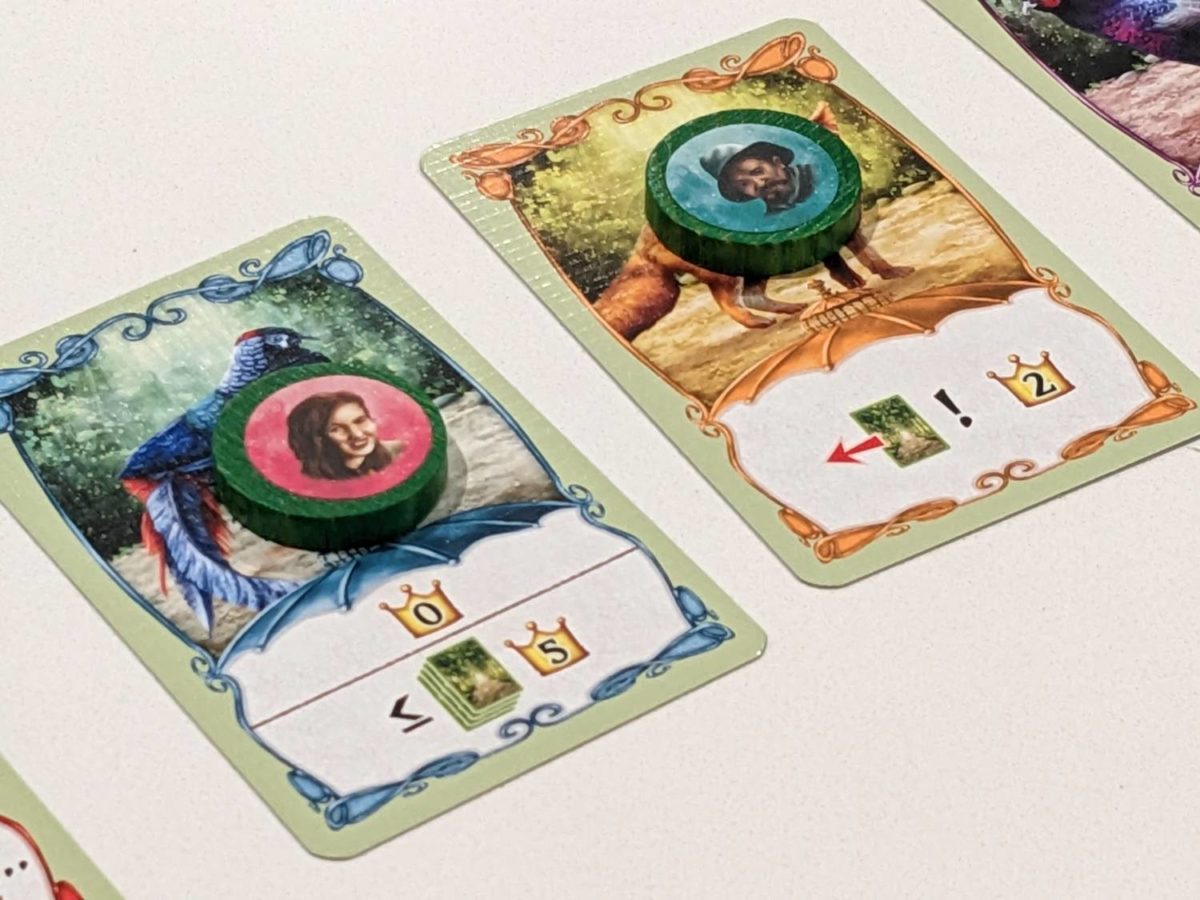 Fancy Feathers Game Review – Meeple Mountain