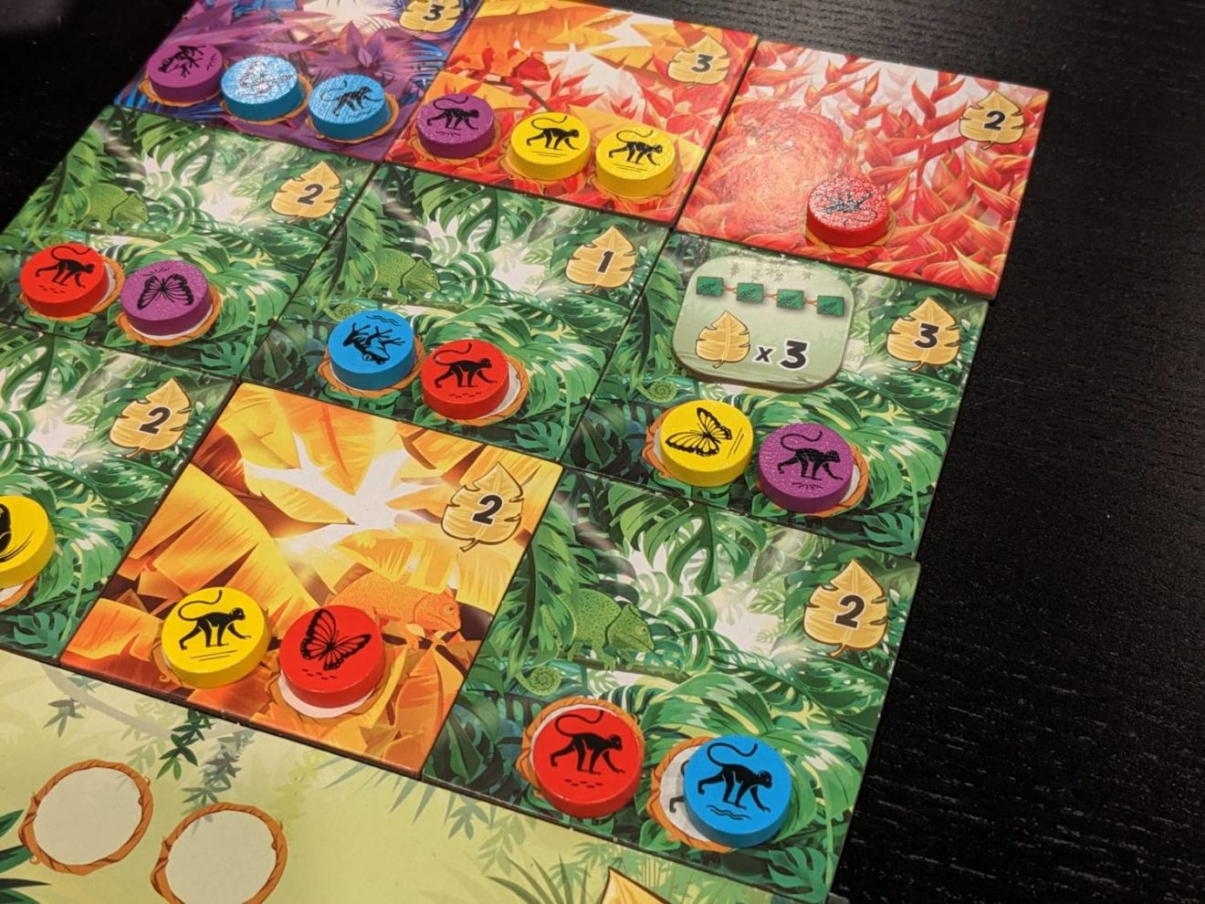 Rainforest Game Review – Meeple Mountain