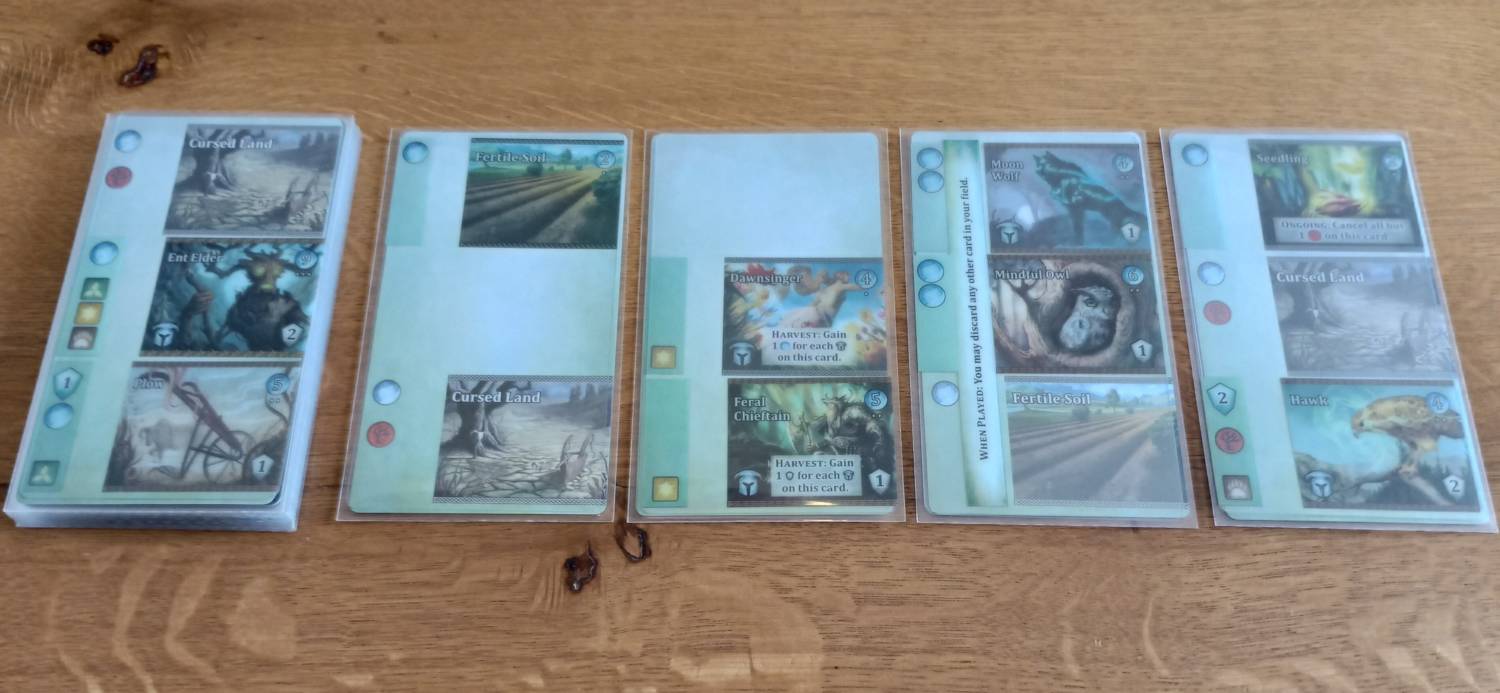 Mystic Vale Review – Meeple Mountain