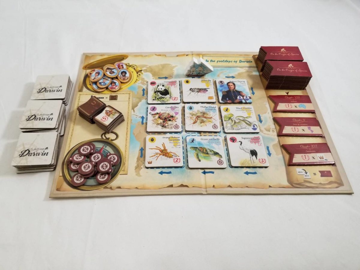 In the Footsteps of Darwin Game Review – Meeple Mountain