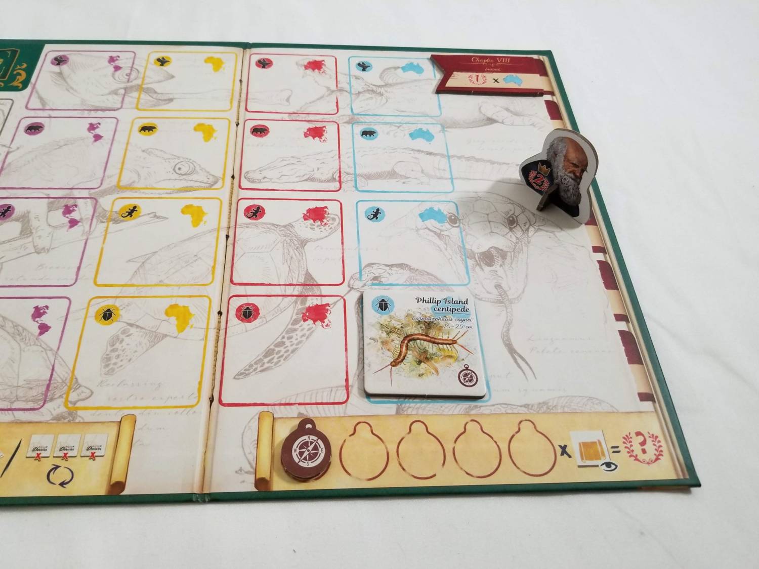 In the Footsteps of Darwin Game Review – Meeple Mountain