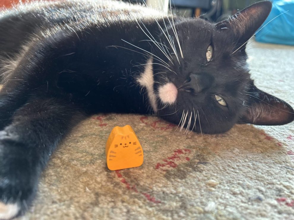 boop. Game Review – Meeple Mountain